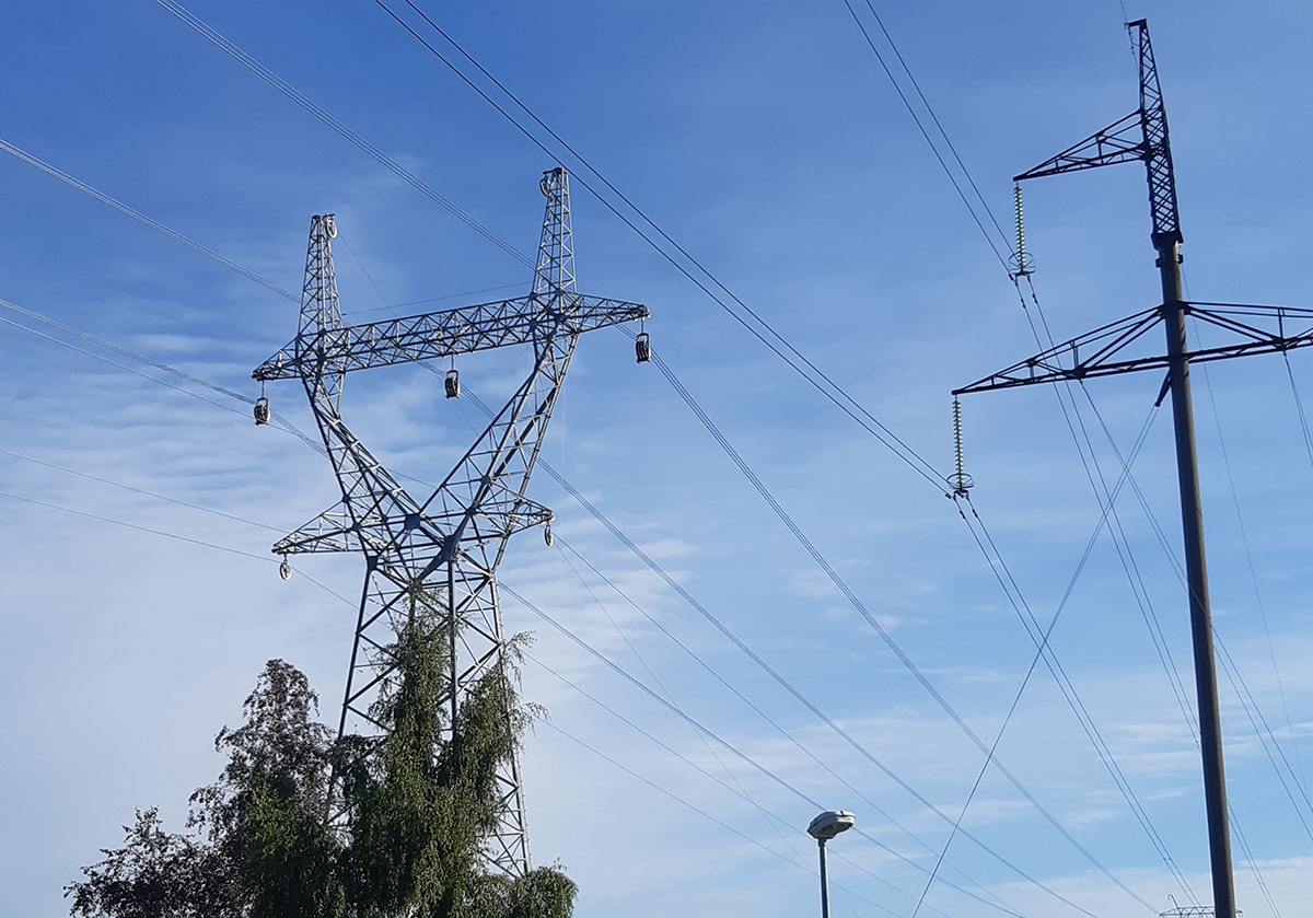 Vooremaa Mis imeloom on sotsiaalne elekter?